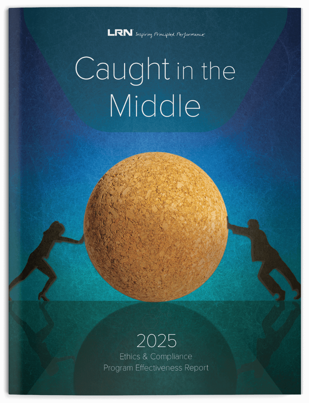 About Us | LRN Corporation